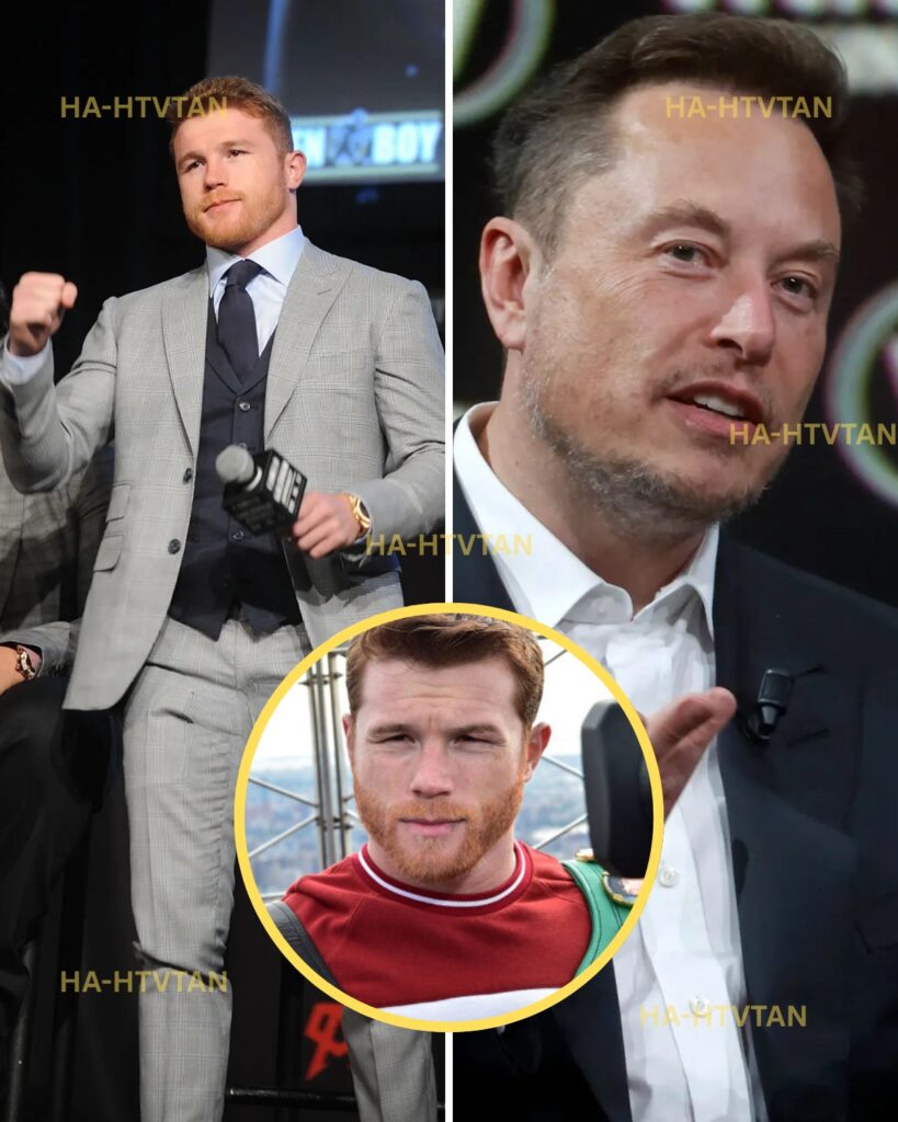 In an unexpected turn of events that has taken the sports and business ...